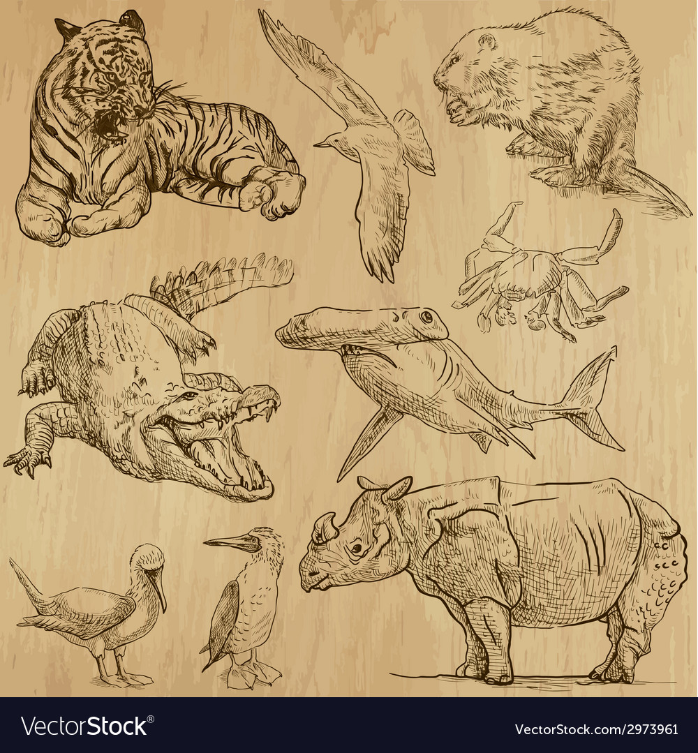 Animals Royalty Free Vector Image - VectorStock