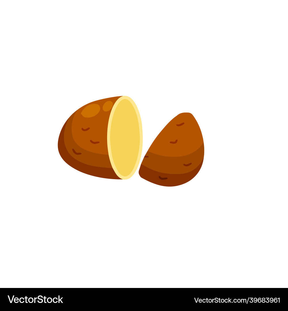 Sliced potatoes piece of brown root vegetable Vector Image