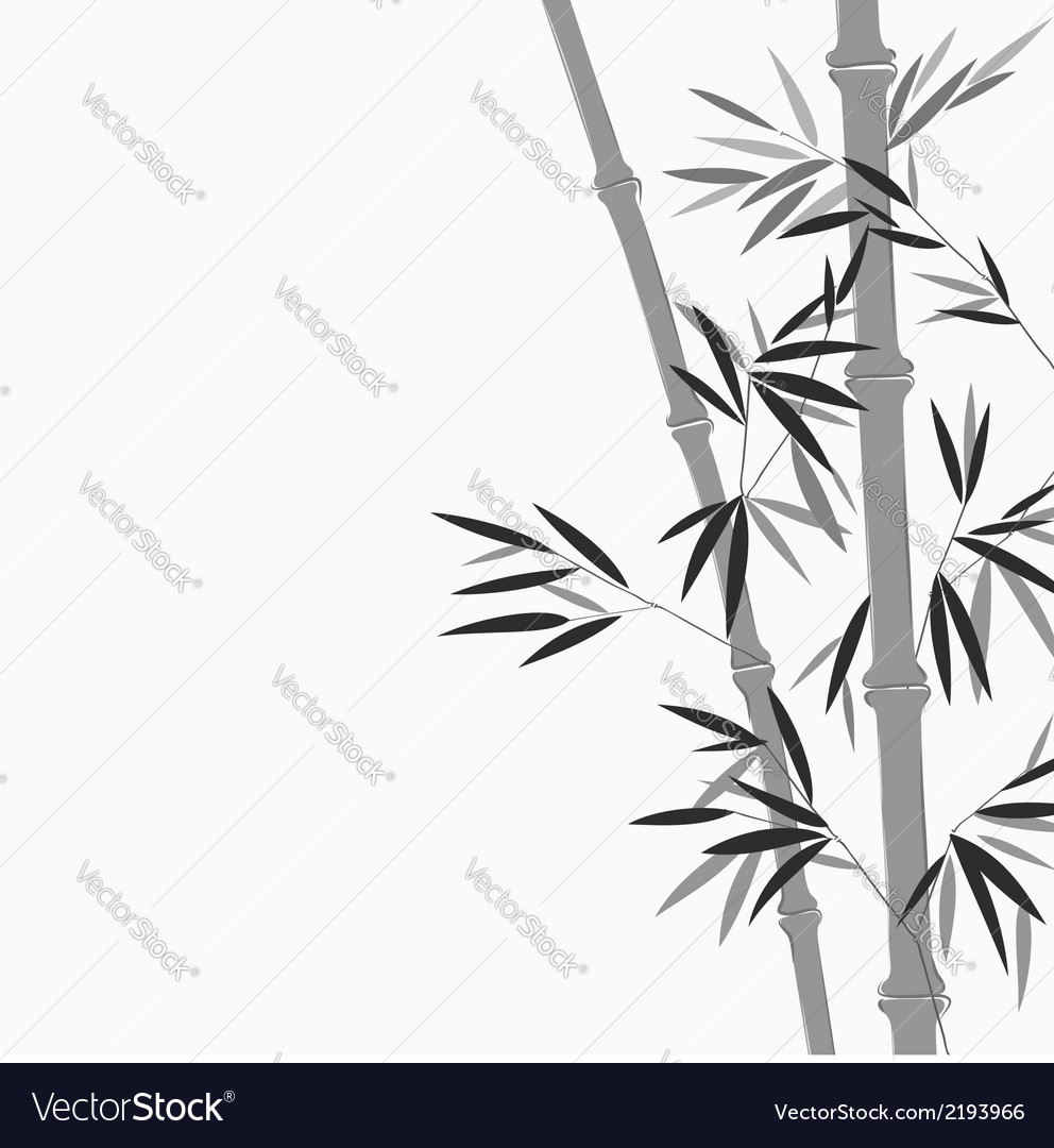 Bamboo Royalty Free Vector Image - VectorStock