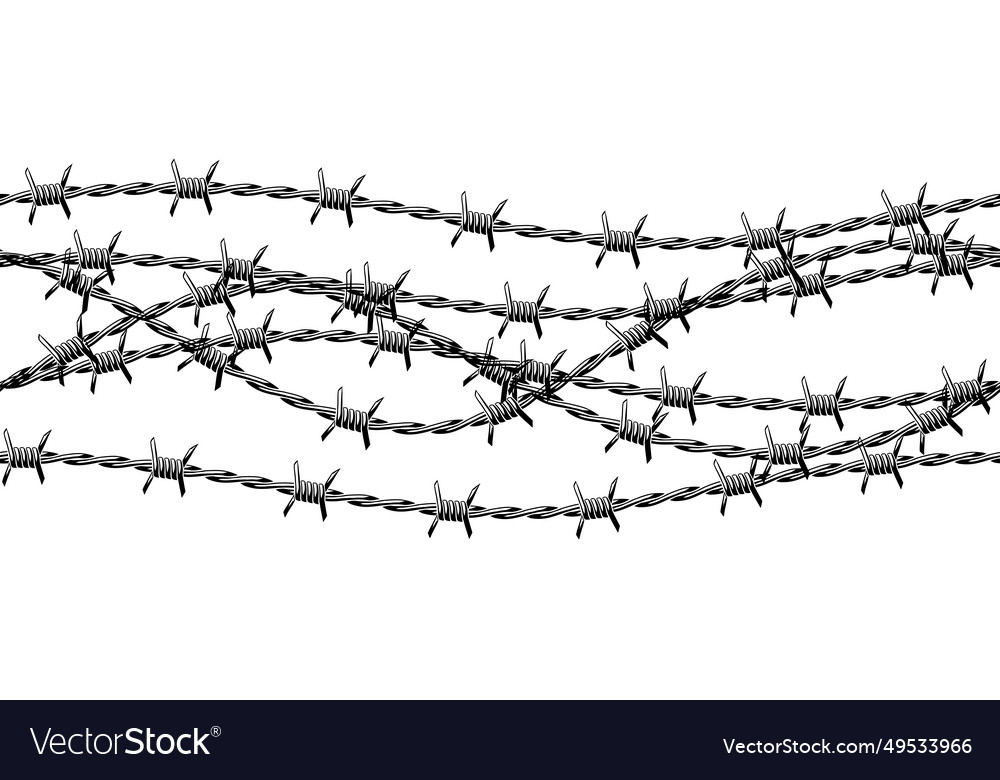 Barbed wire seamless pattern sharp barbwire Vector Image