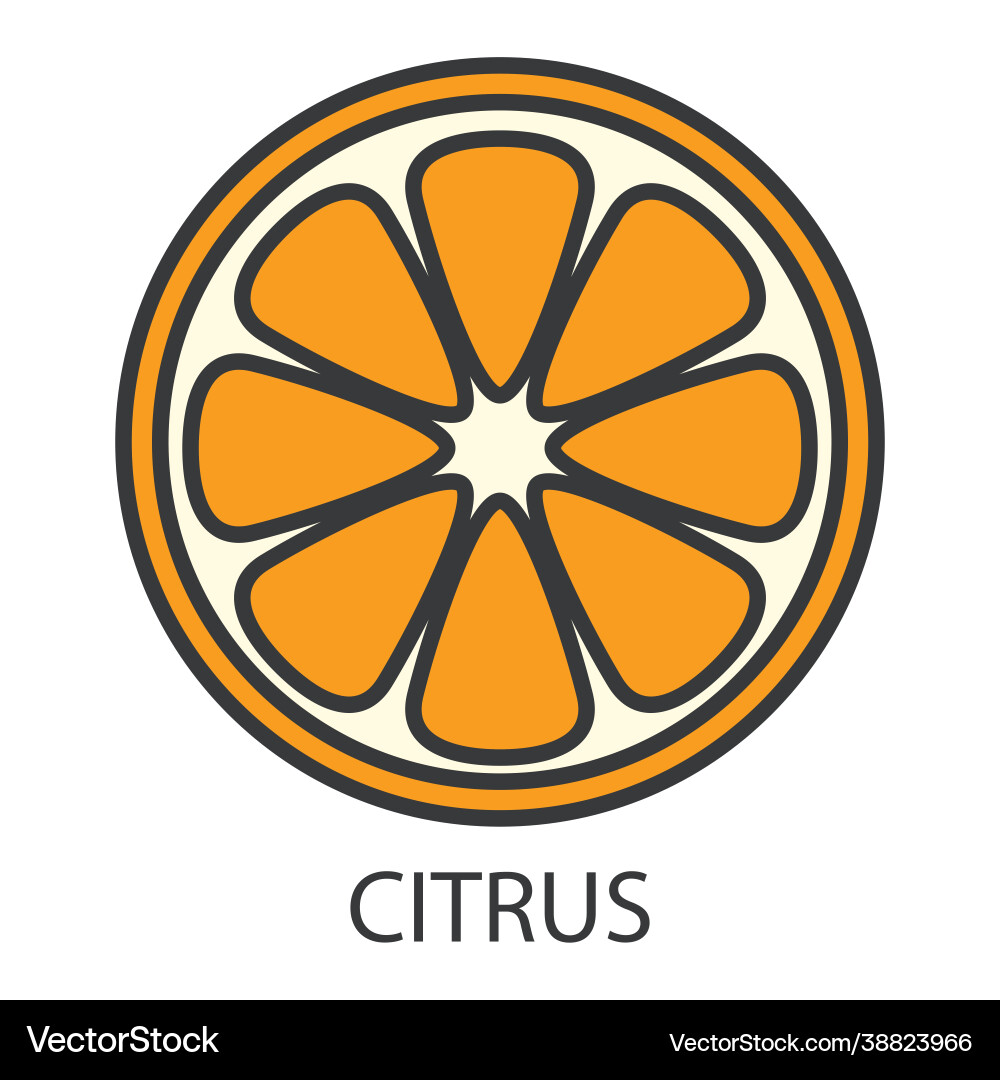 Citrus icon with inscription Royalty Free Vector Image
