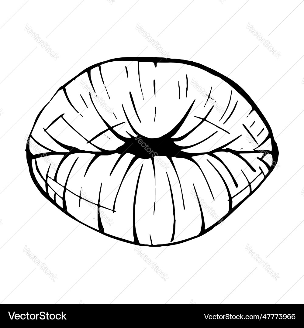 Mouth lips sketch line art Royalty Free Vector Image