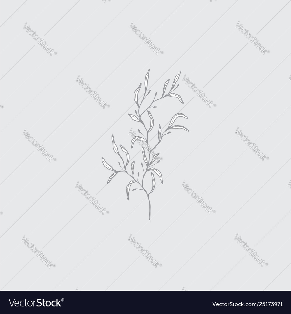 Basic minimalistic form botanical flowers Vector Image