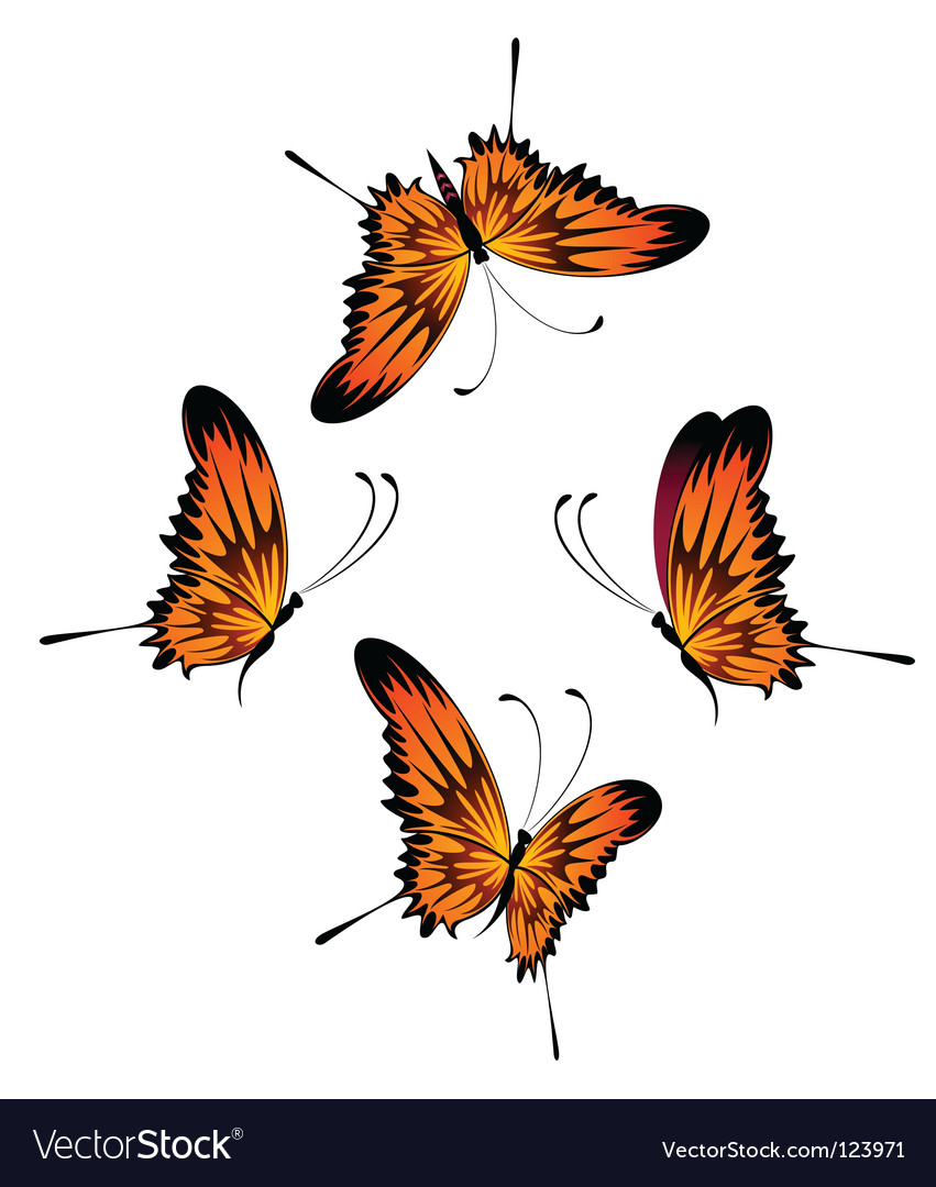 Butterfly design Royalty Free Vector Image - VectorStock