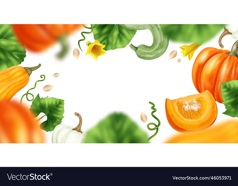 Realistic pumpkin frame Royalty Free Vector Image