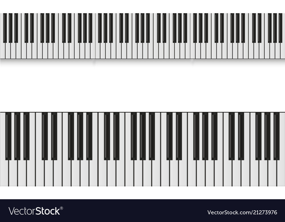 Set piano keys in black and white Royalty Free Vector Image