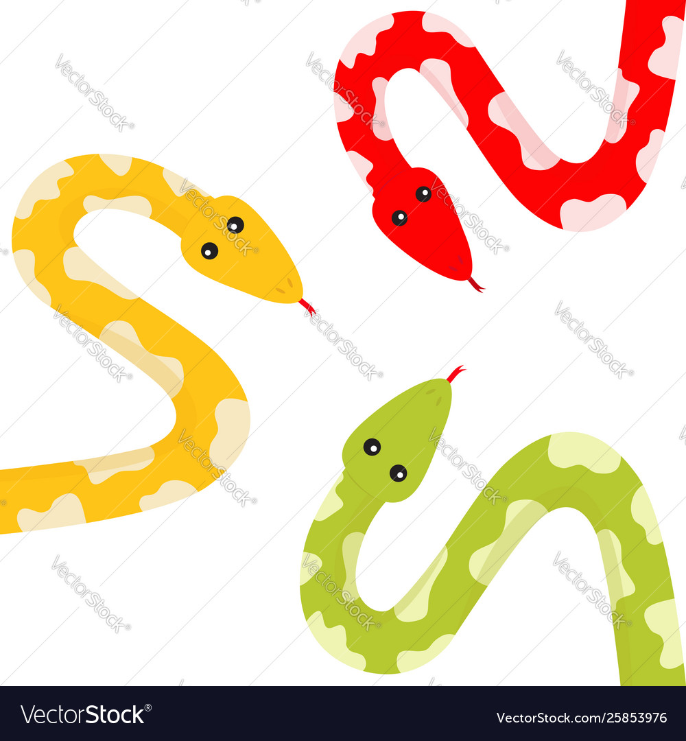 Yellow green red python snake set tongue golden Vector Image