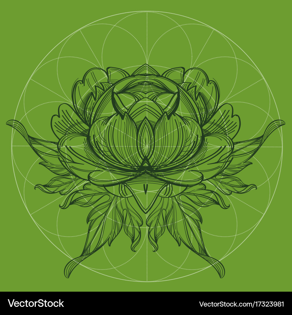 Elegant element of a stylized flower with smooth Vector Image