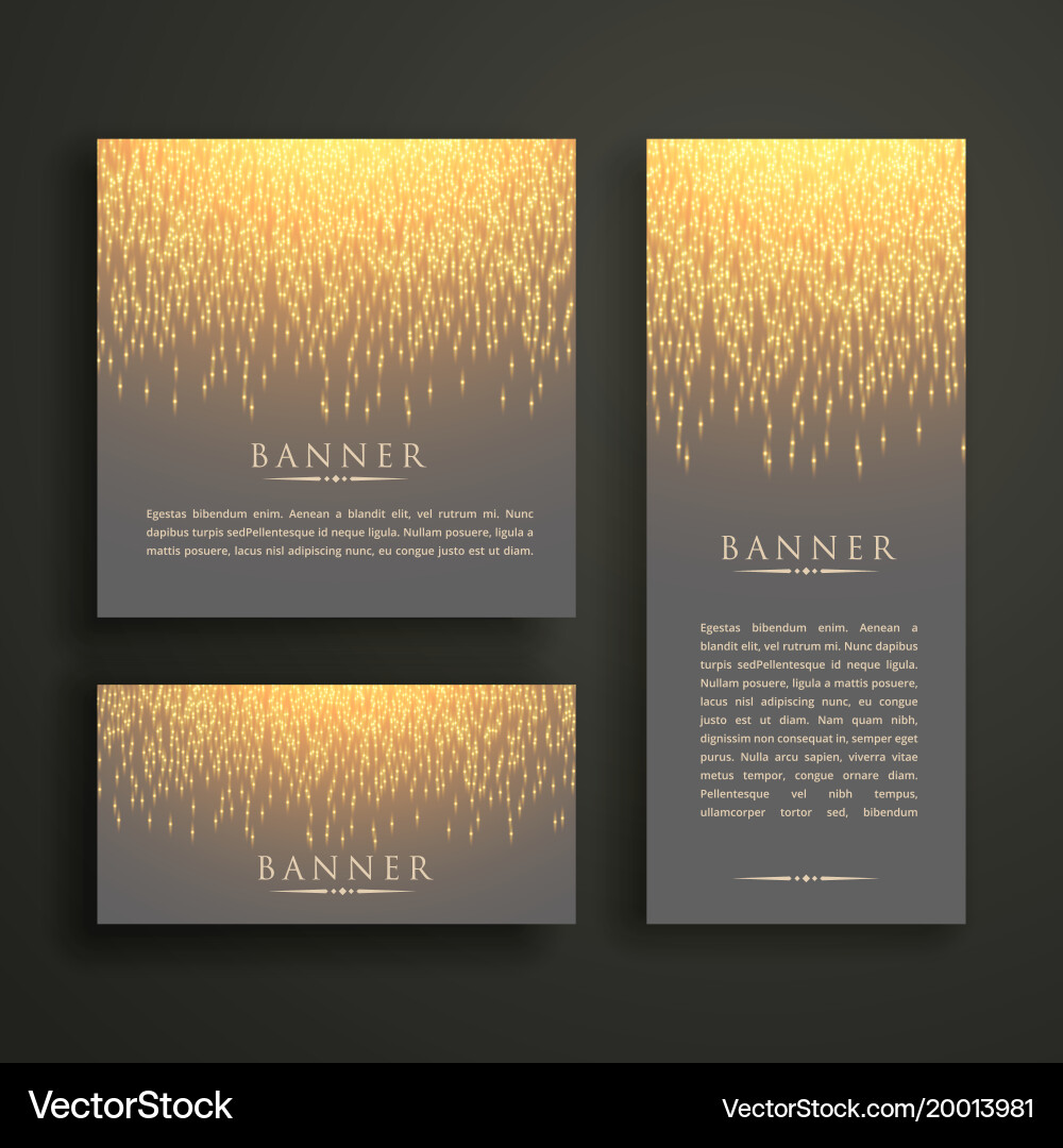 Luxury light sparkle banner card design in Vector Image