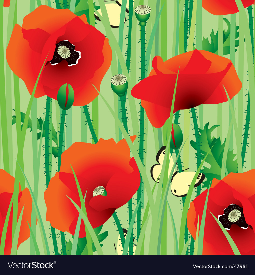 Poppy pattern Royalty Free Vector Image - VectorStock