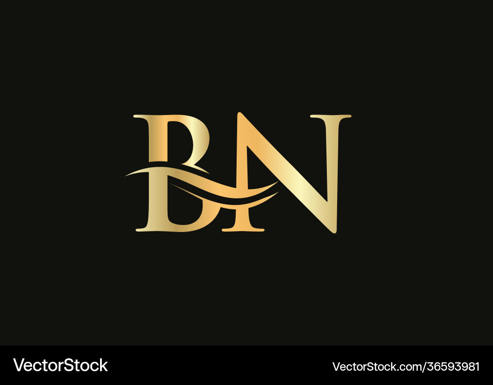 Premium letter bn logo design with water wave Vector Image