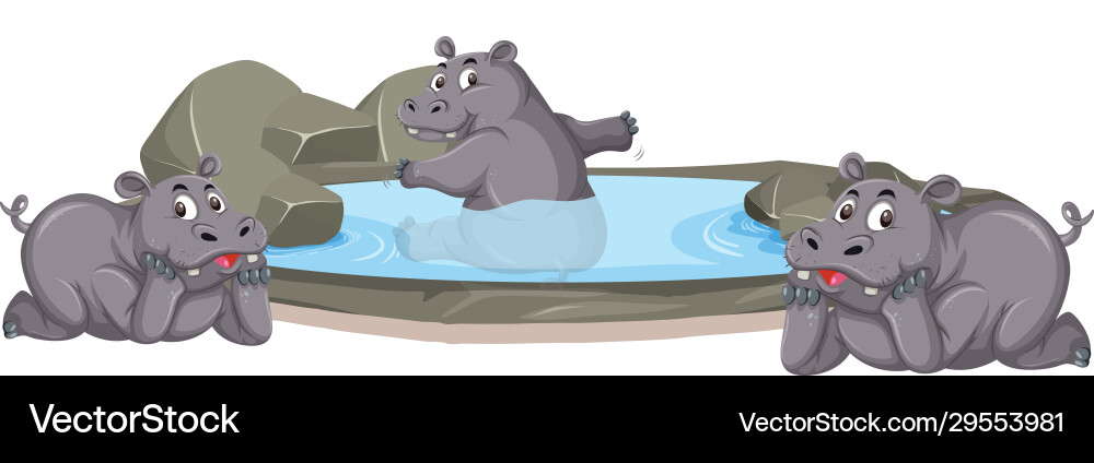 Three hippos enjoying themselves in pond Vector Image