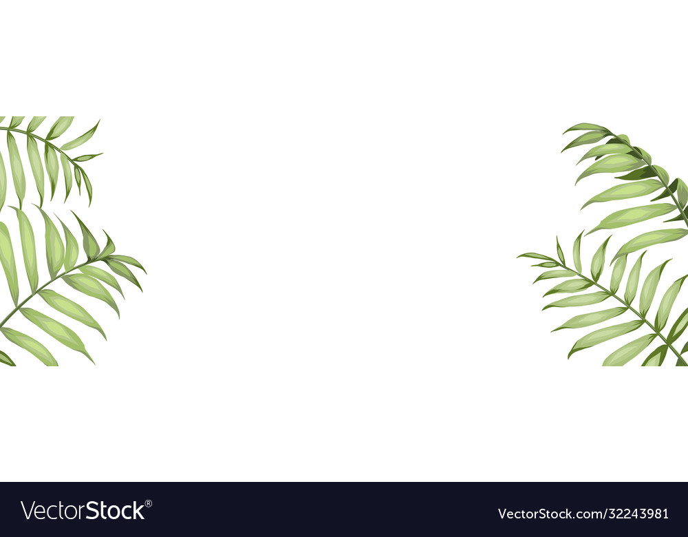 Tropical elements design template panoramic Vector Image