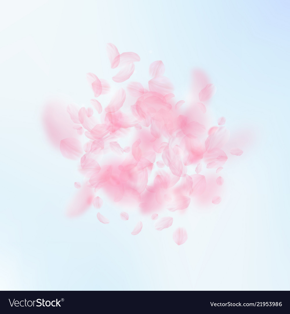 Sakura petals falling down Royalty Free Vector Image