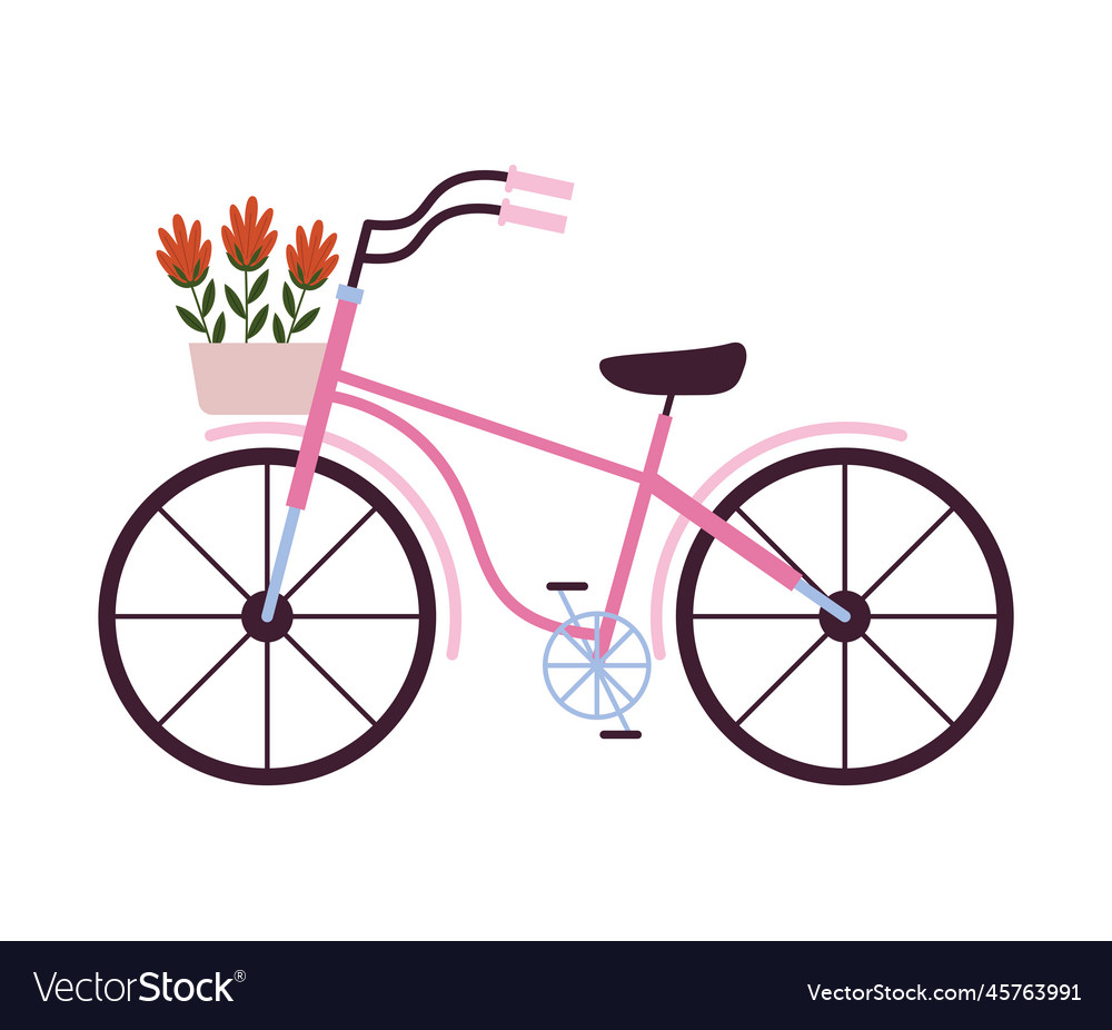 Flowers spring in bicycle Royalty Free Vector Image