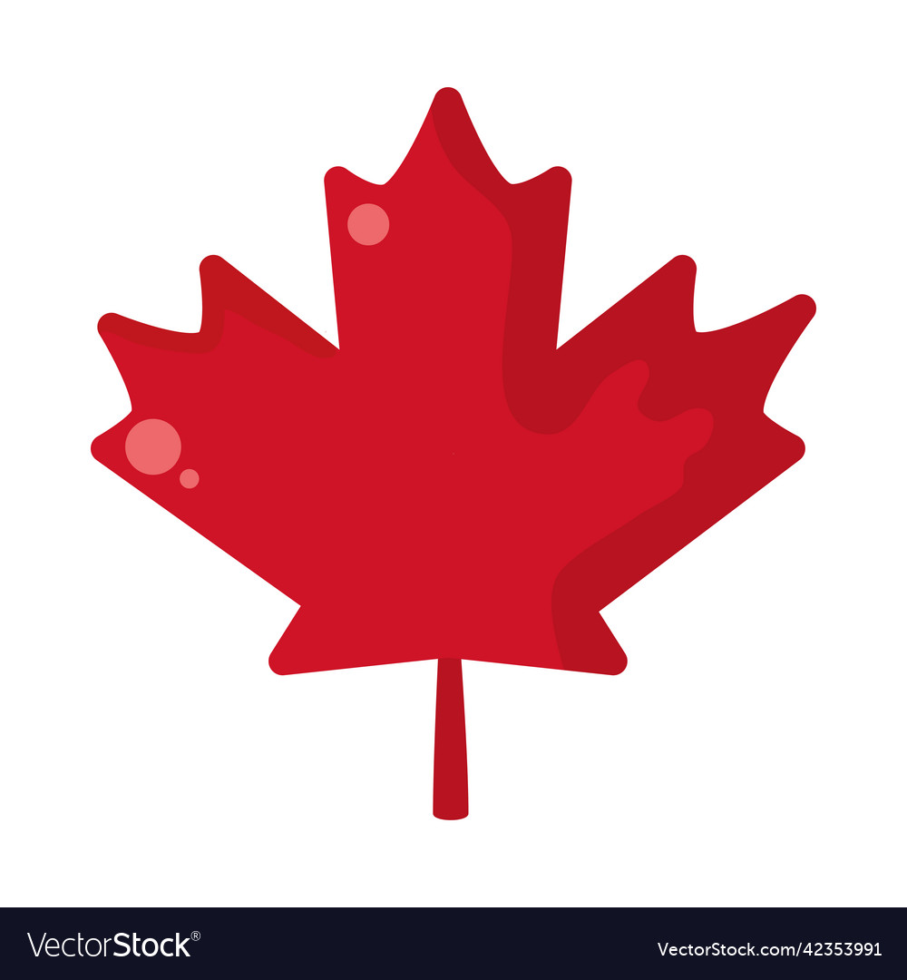 Maple leaf icon Royalty Free Vector Image - VectorStock
