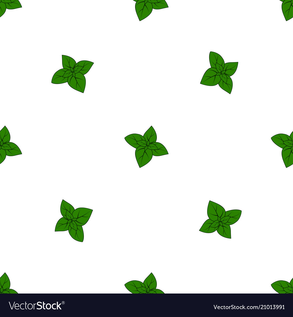 Pattern with basil Royalty Free Vector Image - VectorStock