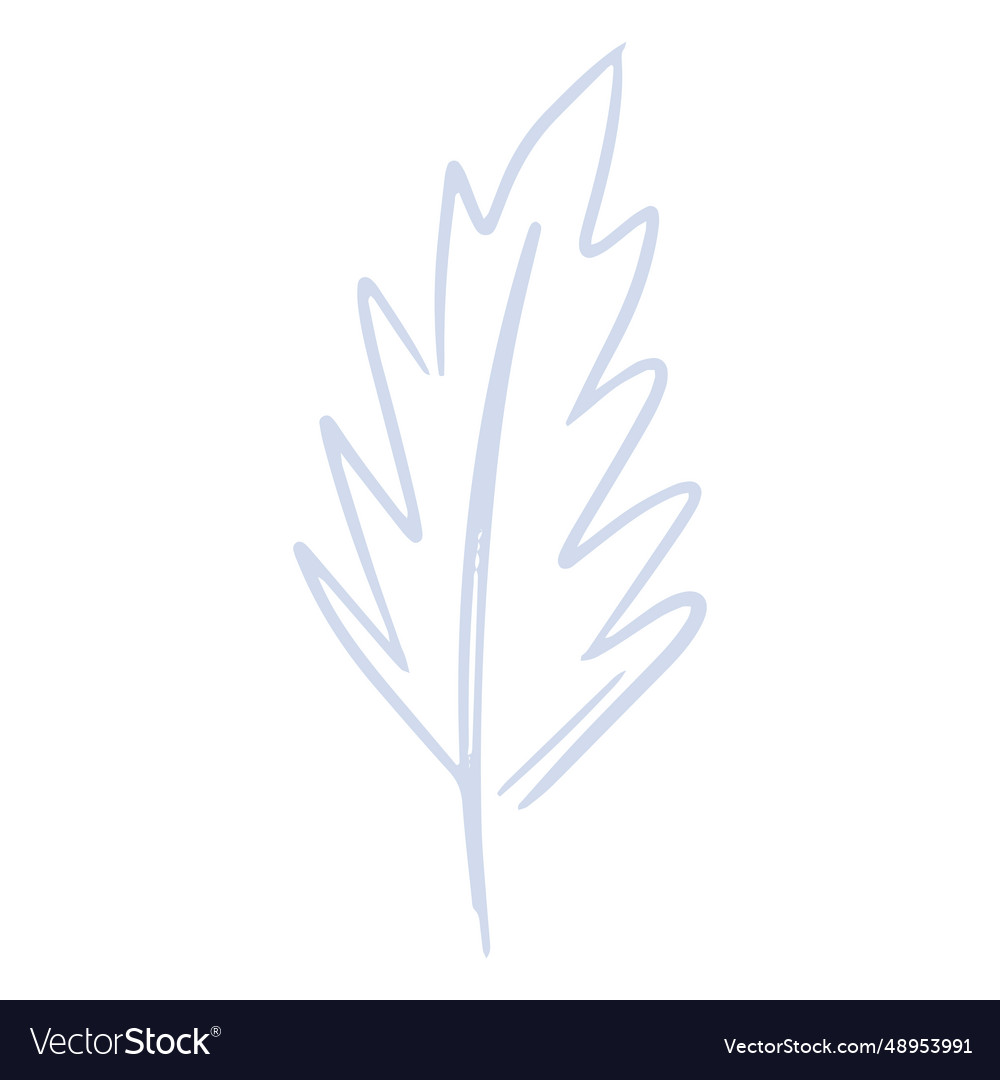 Pointed leaf stroke Royalty Free Vector Image - VectorStock