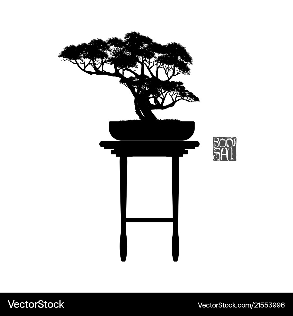 Bonsai tree japanese and chinese trees Royalty Free Vector