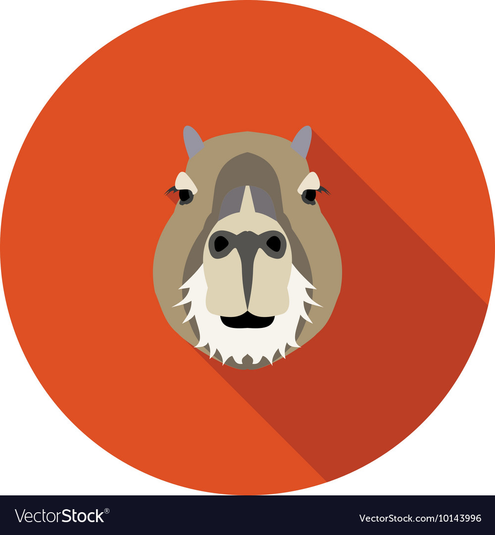 Flat icon a capybara Royalty Free Vector Image