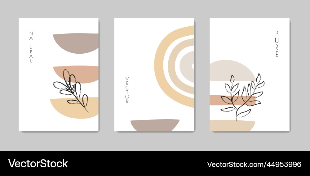 Modern posters with simple shapes and ink plants Vector Image