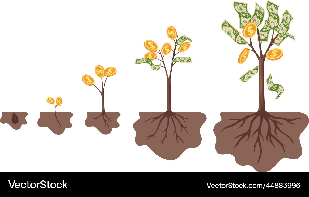 Money Tree Plant Seeds