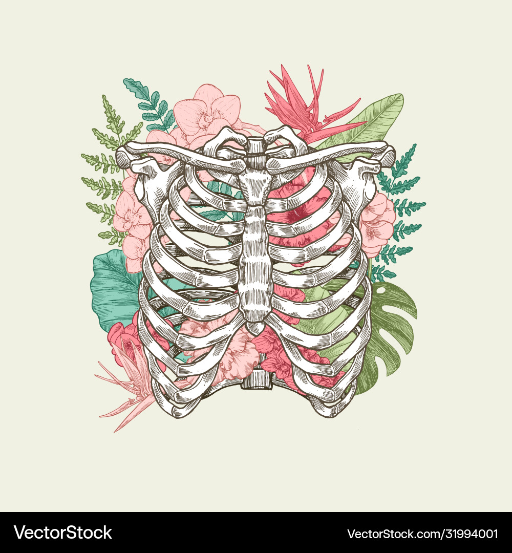Exotic florals vintage rib cage Royalty Free Vector Image