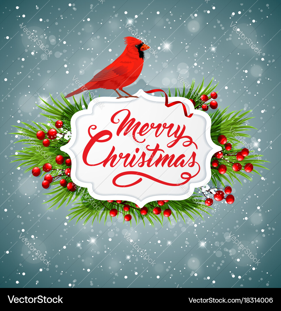 Christmas banner with red cardinal bird Royalty Free Vector