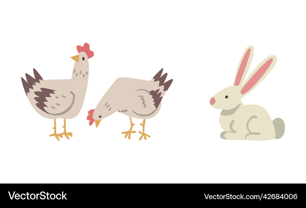 Hen or chicken bird and white rabbit as farm Vector Image