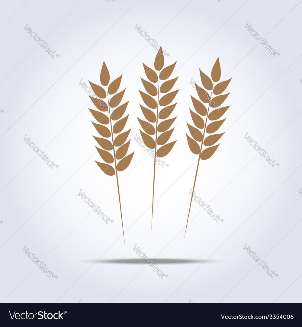 Wheat icon Royalty Free Vector Image - VectorStock