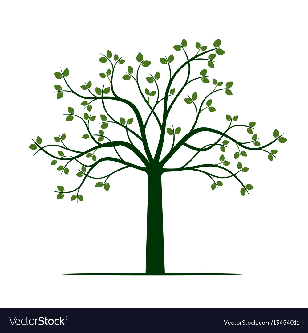 Green spring tree Royalty Free Vector Image - VectorStock