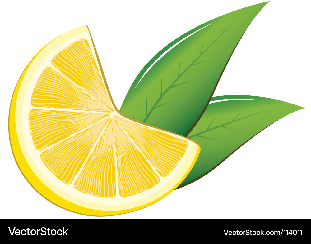 Lemon and leaves Royalty Free Vector Image - VectorStock