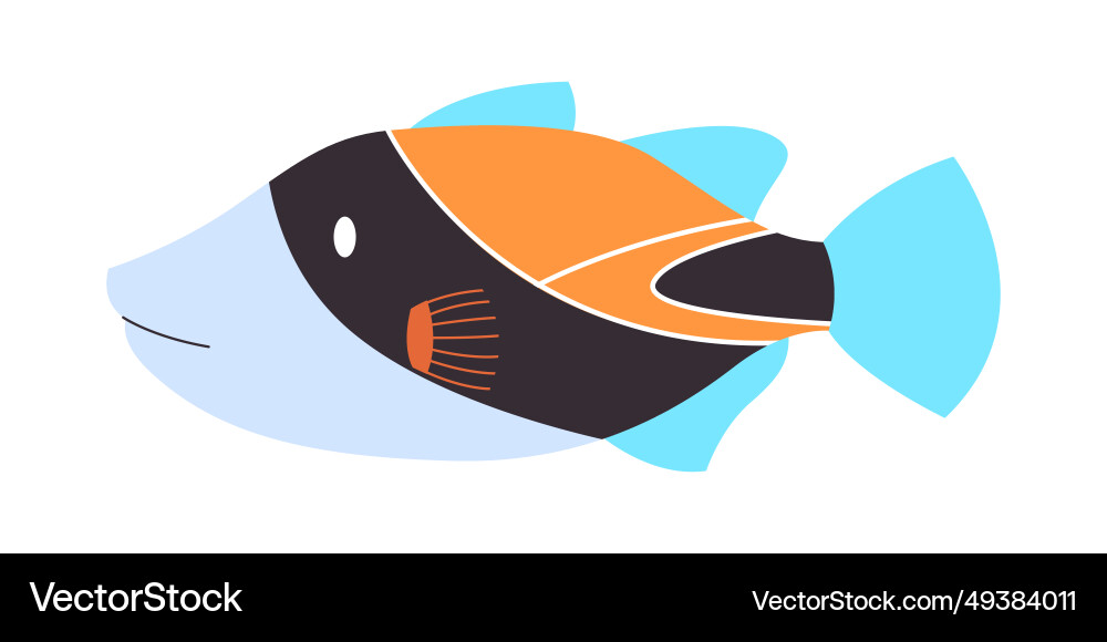 Reef triggerfish colorful beautiful animal Vector Image