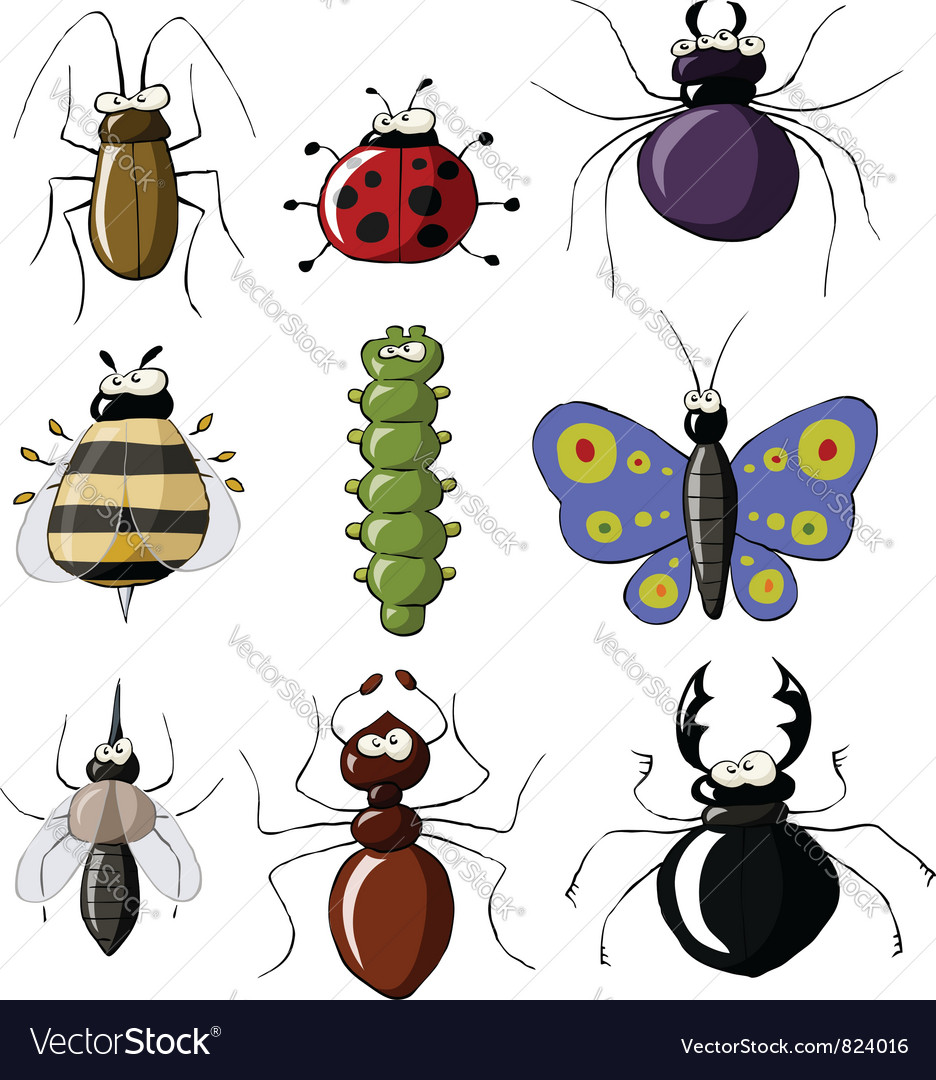 Insects Royalty Free Vector Image - VectorStock