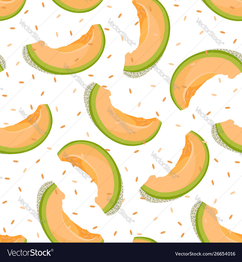 Melon slice seamless pattern on white background Vector Image