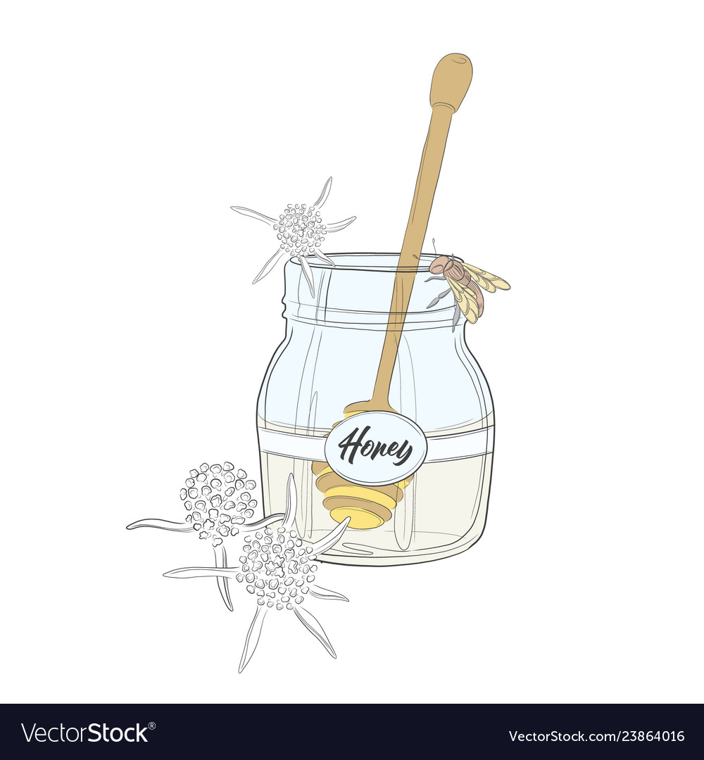 Nature cartoon honey and bee big jar Royalty Free Vector