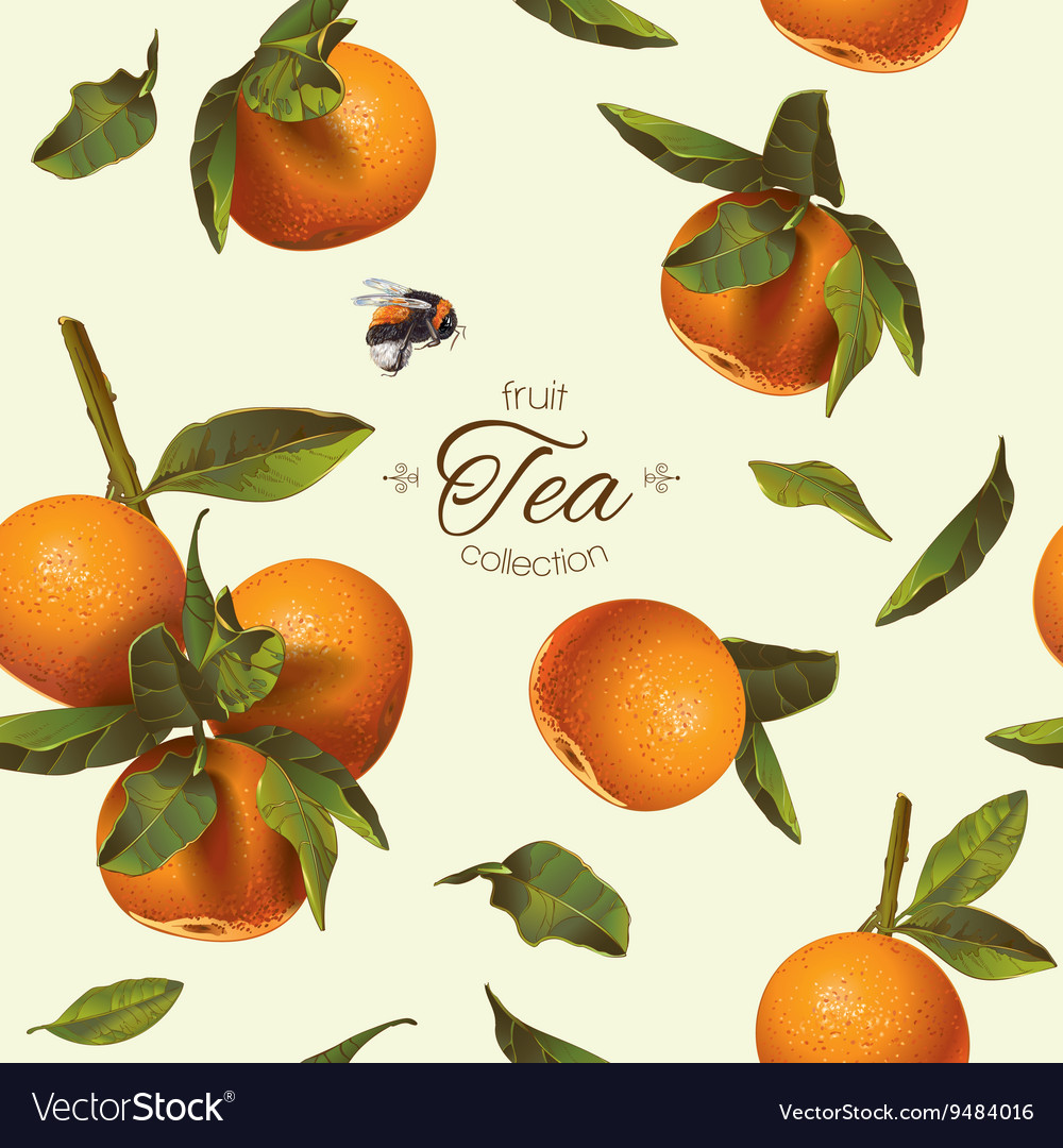 Orange tea pattern Royalty Free Vector Image - VectorStock