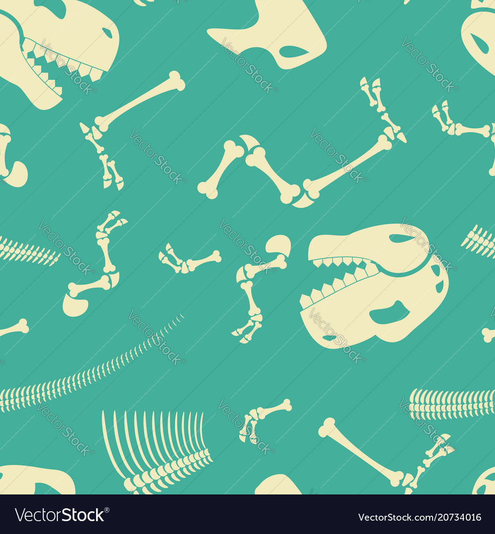 Skeleton dinosaur seamless pattern dino bones Vector Image