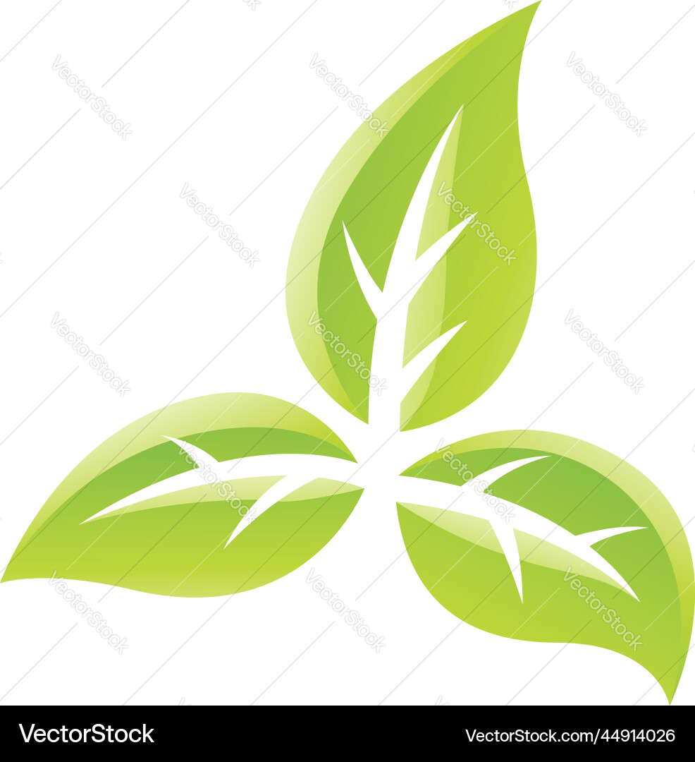 Glossy green striped leaves icon Royalty Free Vector Image