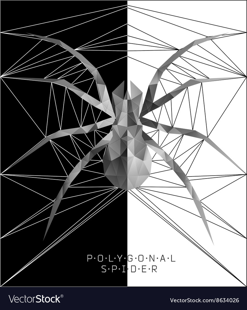 Polygonal spider Geometric Royalty Free Vector Image