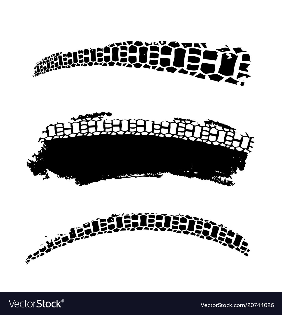 Tire tracks elements Royalty Free Vector Image