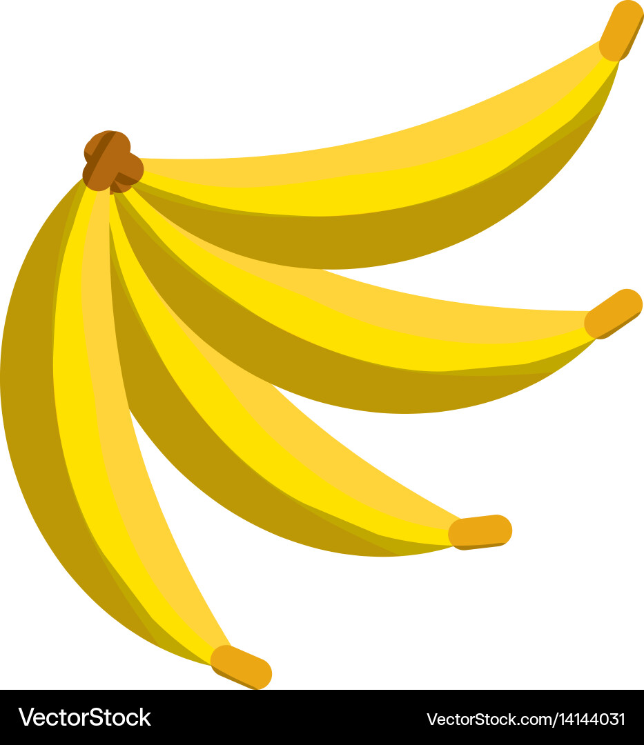 Bananas fruit healthy meal Royalty Free Vector Image