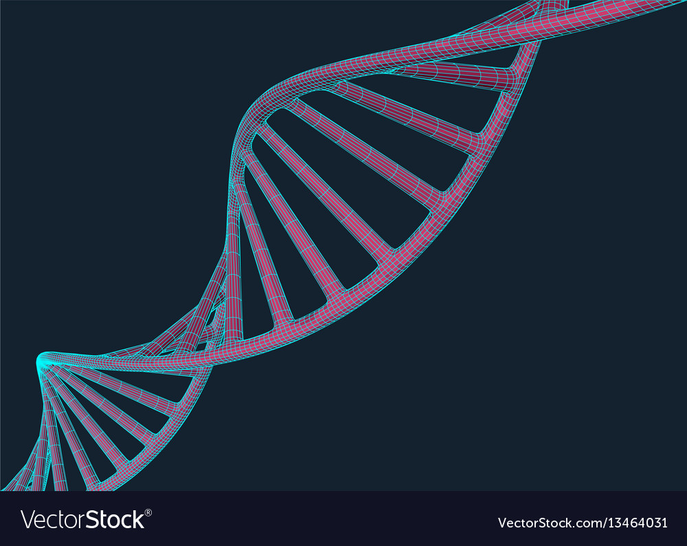 Grey dna with polygon line on blue background Vector Image Grey dna with polygon line on blue background Vector Image