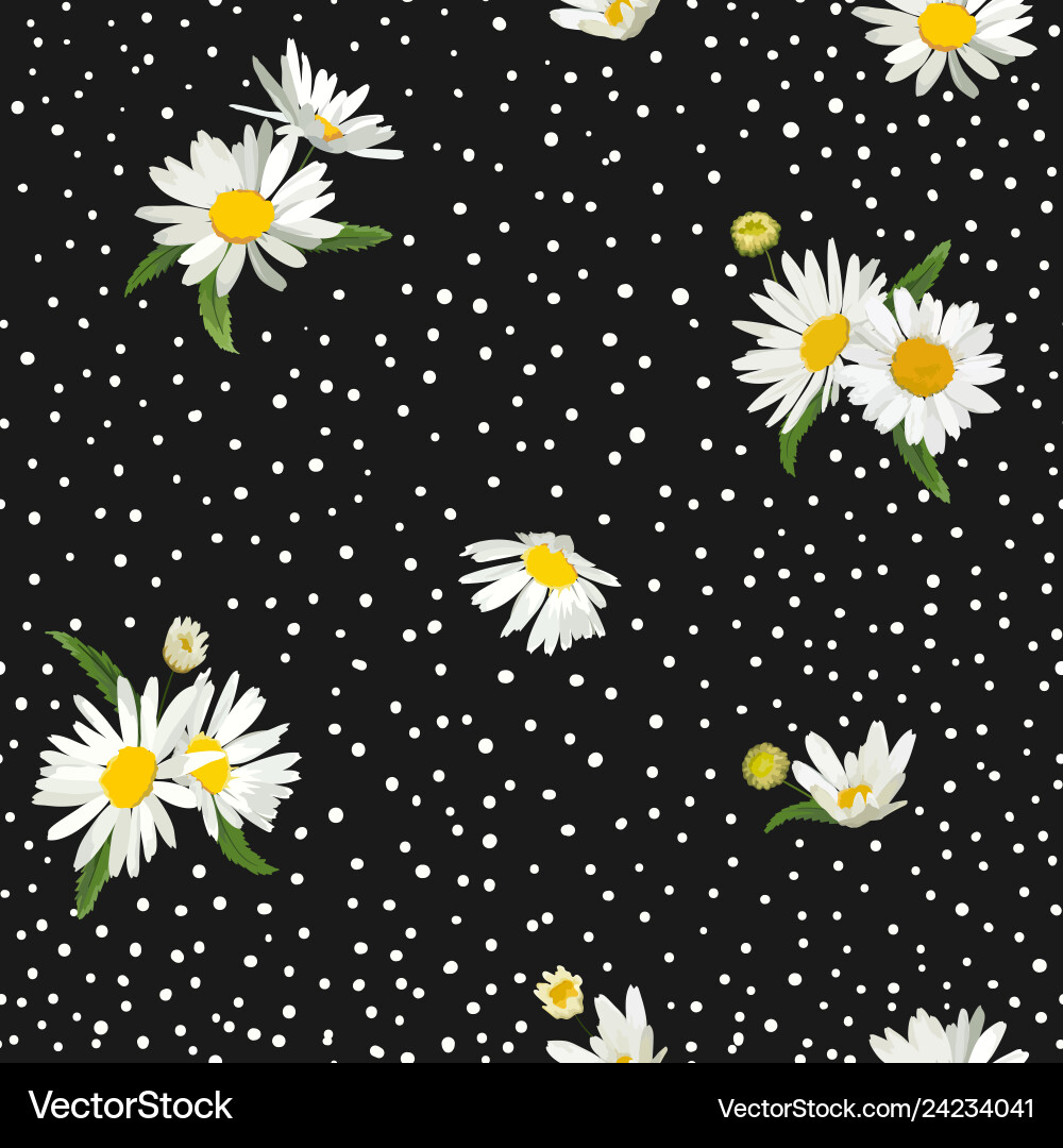 Floral seamless pattern with blossom daisy flowers