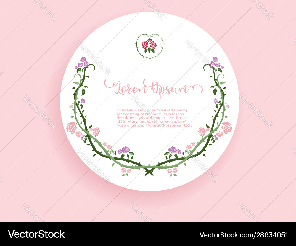 Beautiful rose flower with circle border Vector Image
