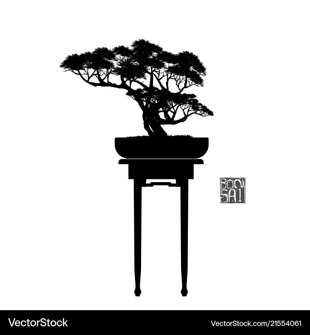Bonsai tree japanese and chinese trees Royalty Free Vector