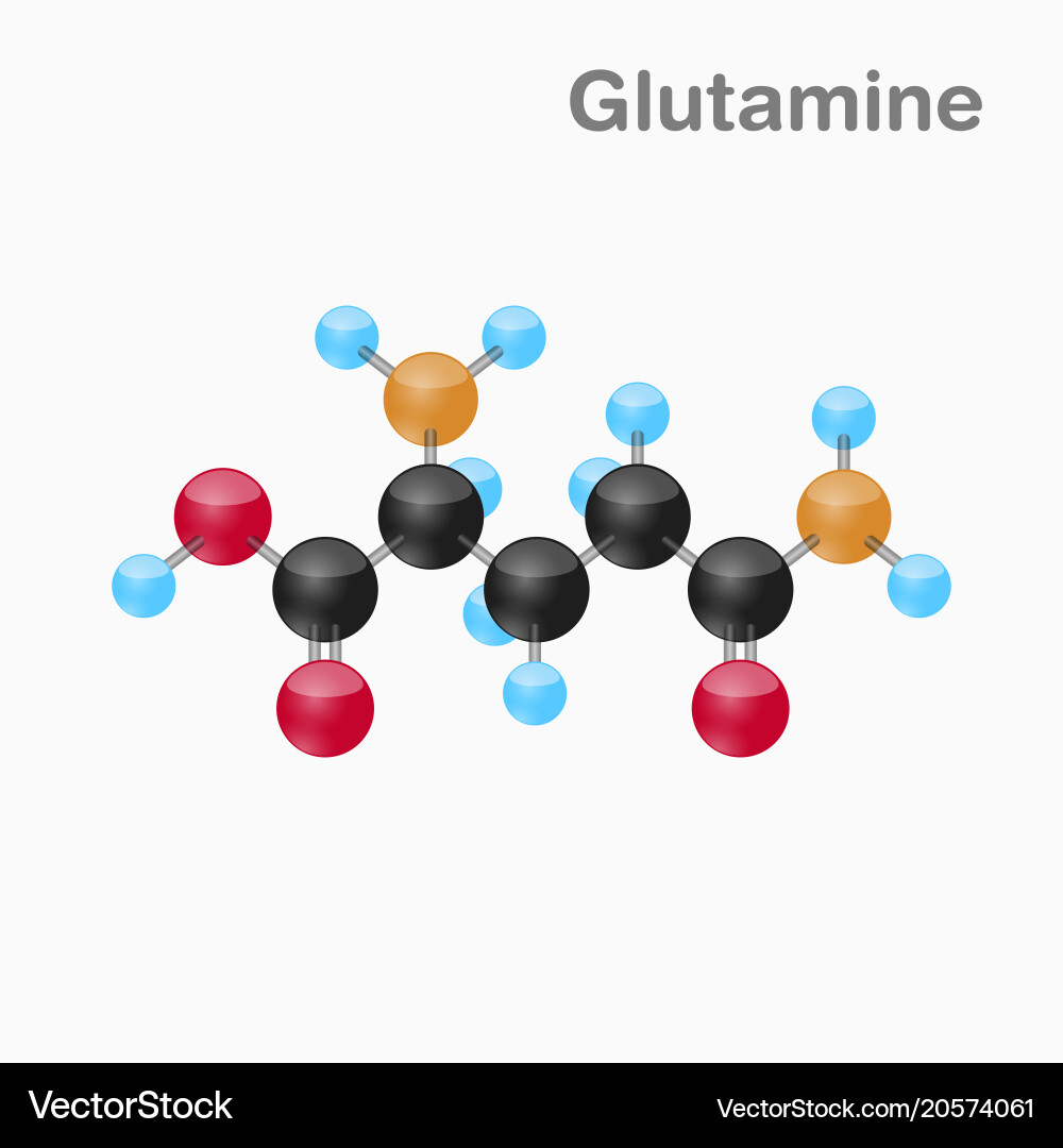 Molecular omposition and structure glutamine Vector Image