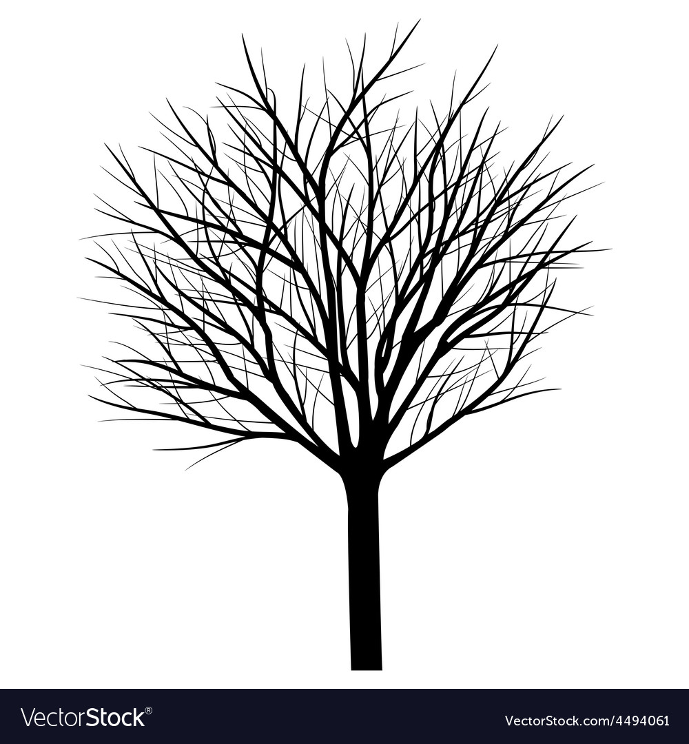 Trees with dead branch Royalty Free Vector Image