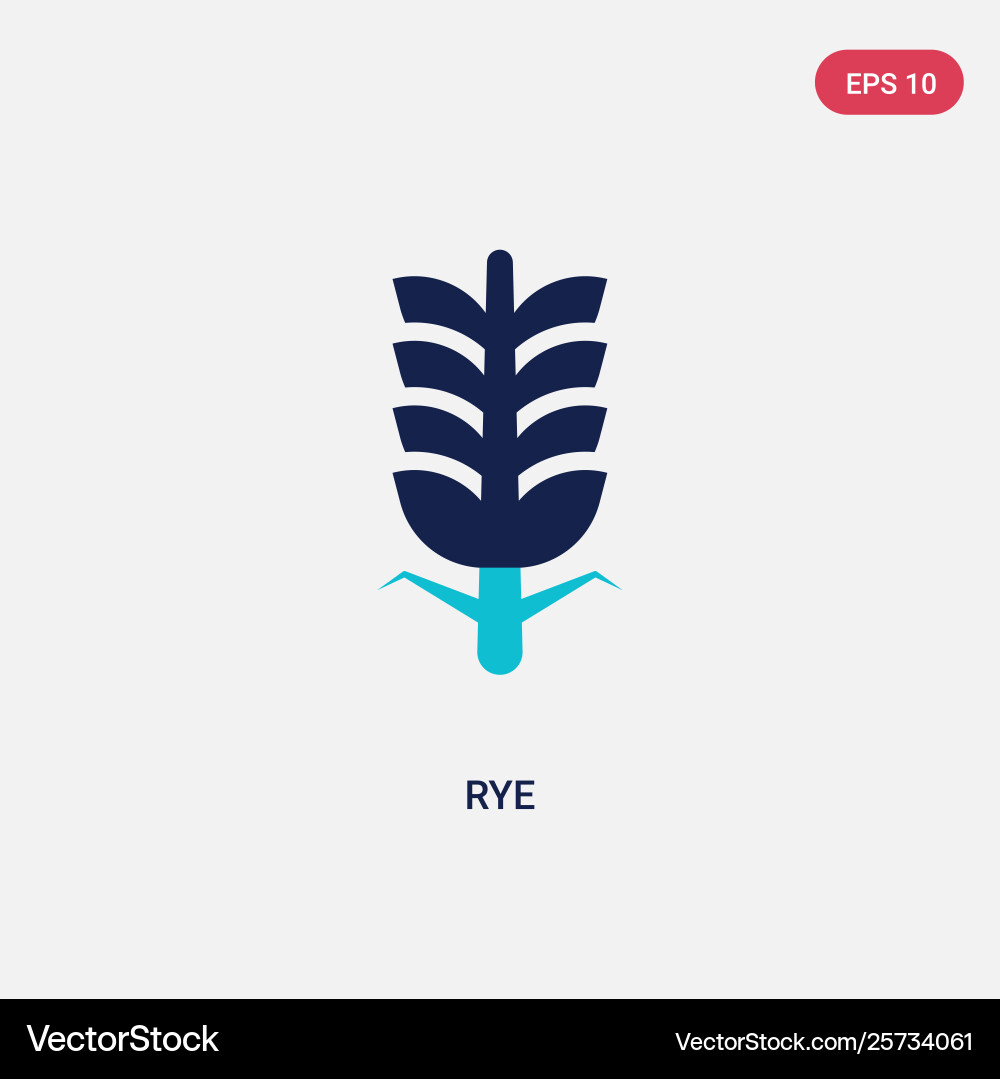 Two color rye icon from autumn concept isolated Vector Image