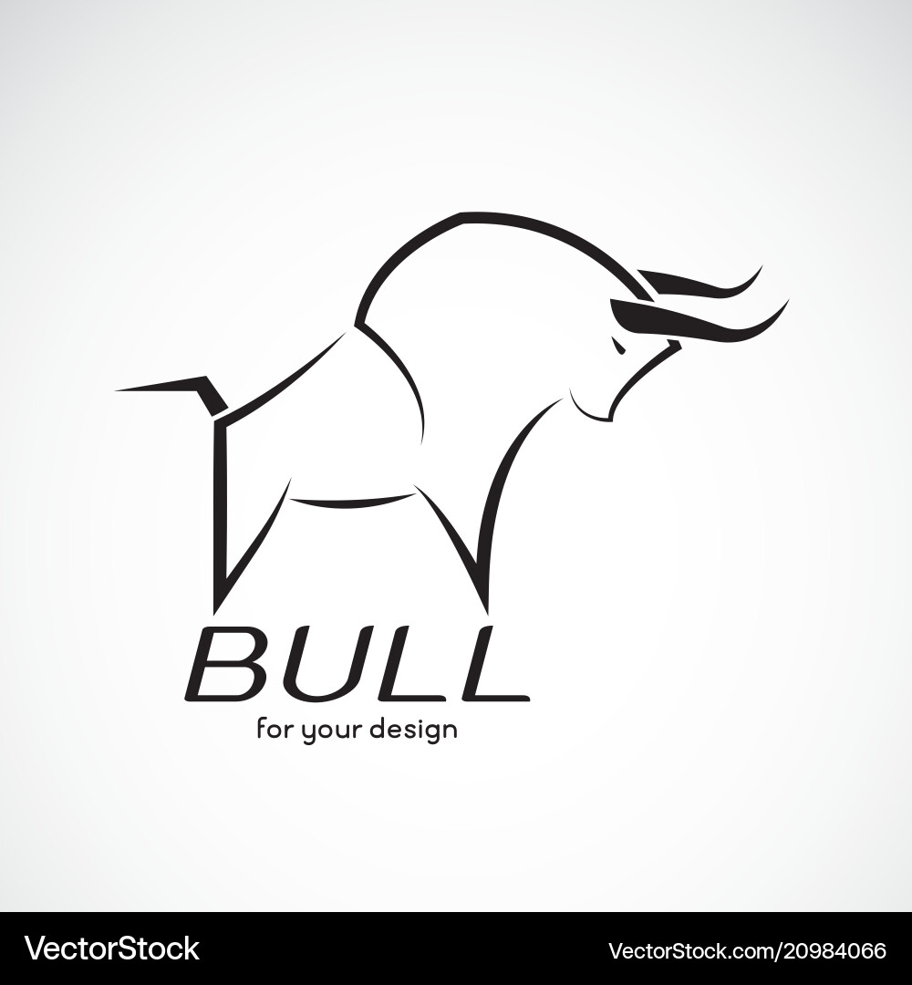 Bull design on white background wild animals Vector Image